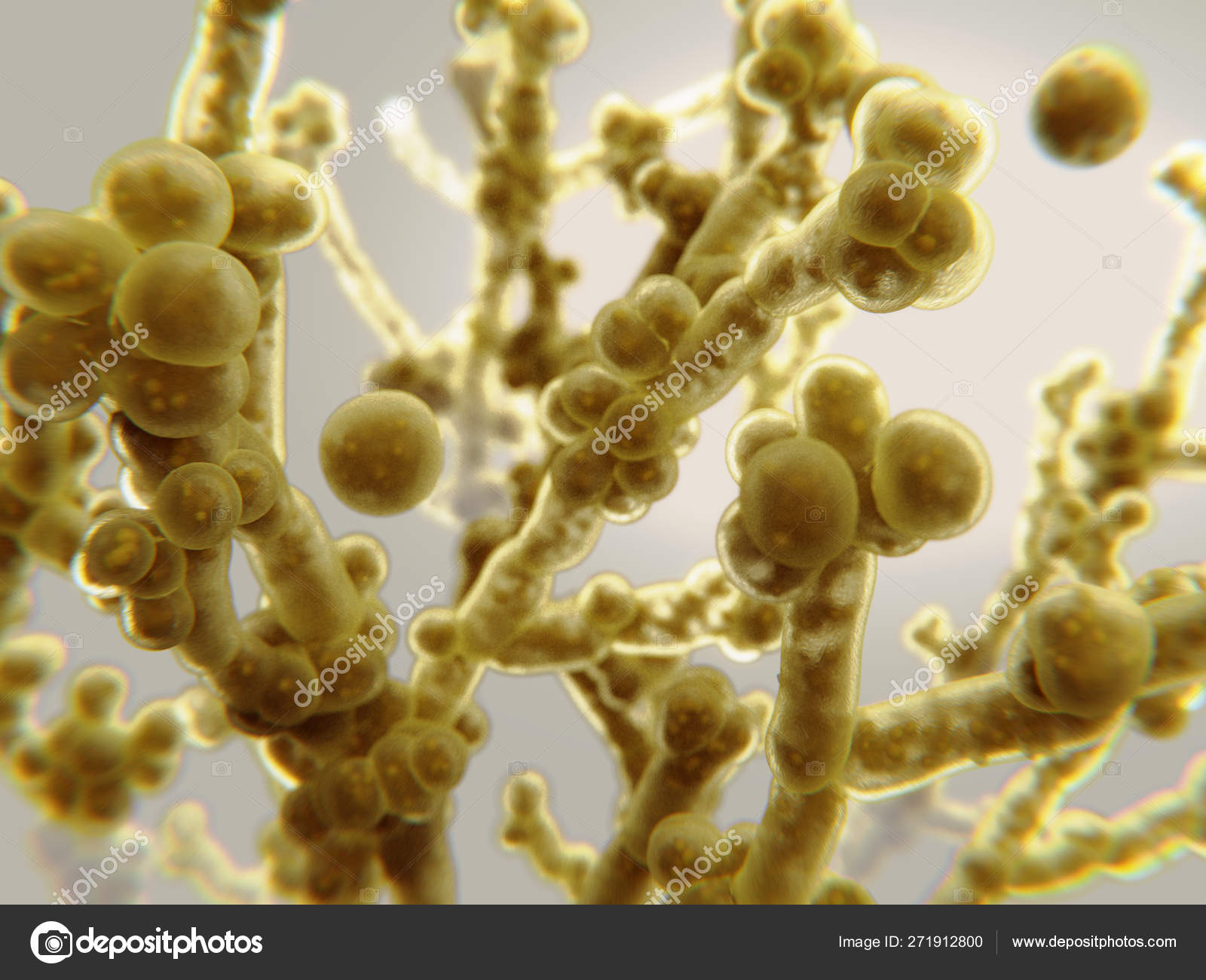 Candida auris, une levure pathogène qui provoque la candidose — Photo ...