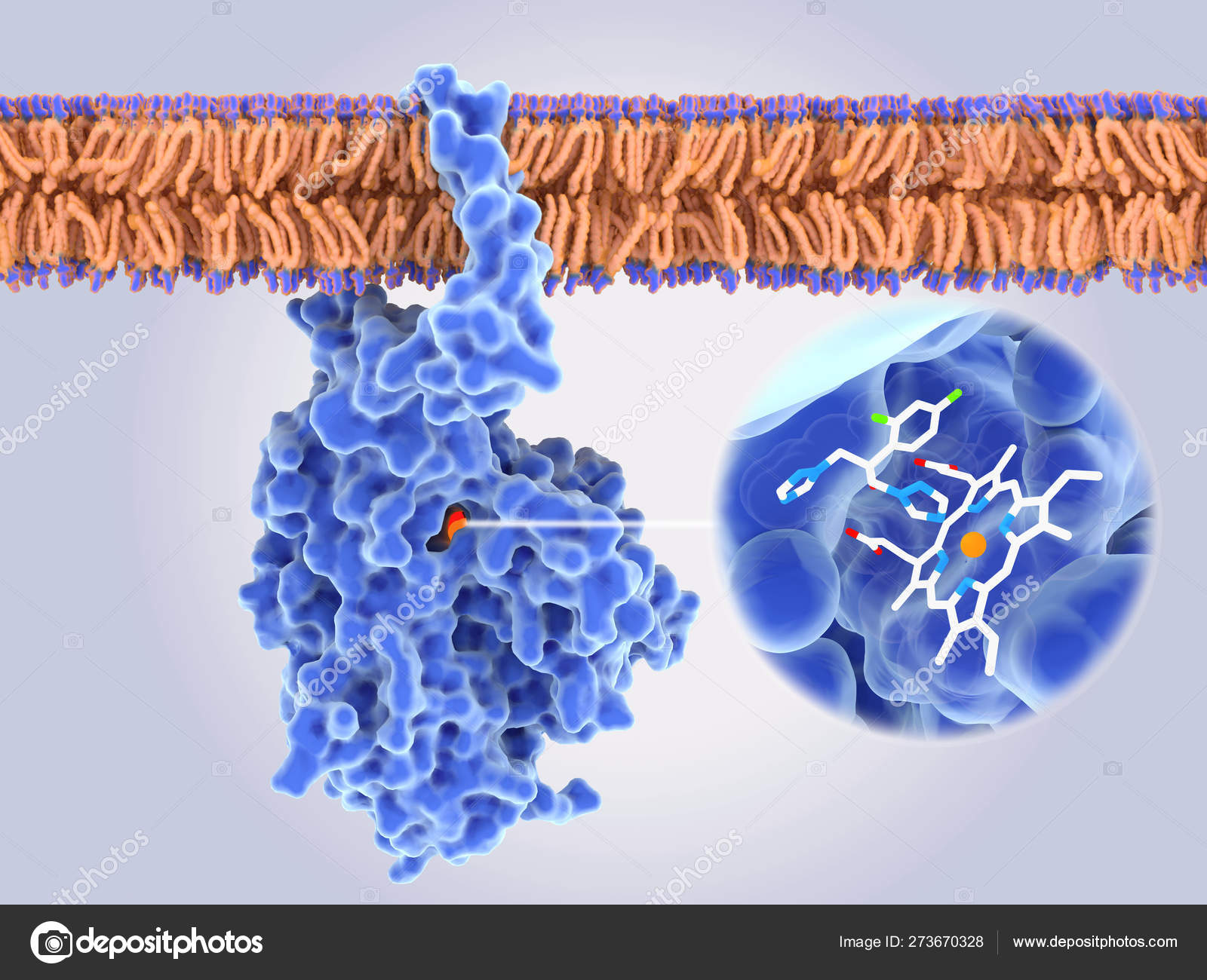 A fungal lanosterol 14-alpha demethylase with fluconazole bound to the ...
