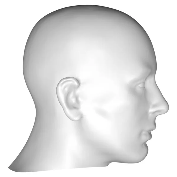 Human head illustration Stock Photos, Royalty Free Human head ...