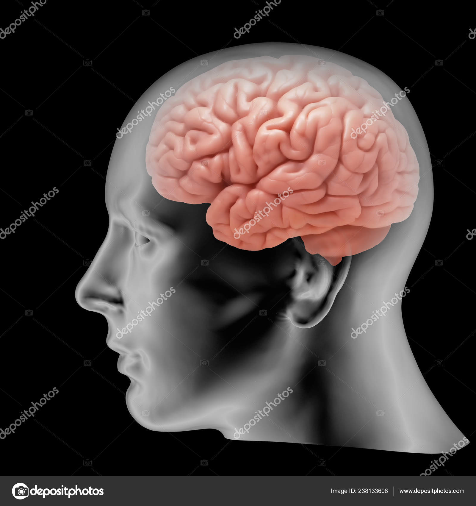 Human Head Abstract Background Illustration — Stock Photo © patrice67 ...