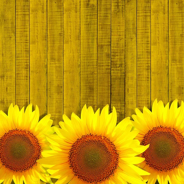 Sunflower background wood Stock Photos, Royalty Free Sunflower ...