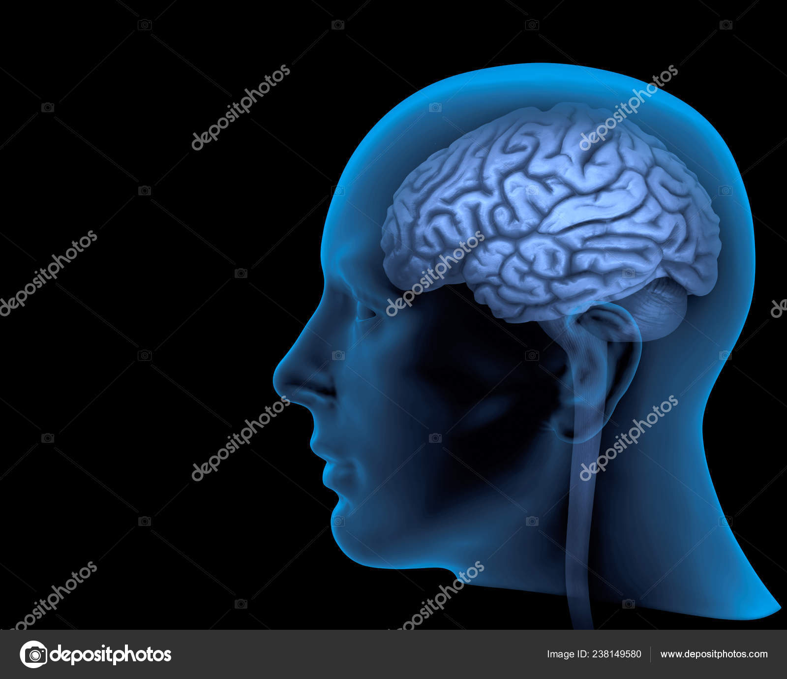 Human Brain Background Illustration Stock Photo by ©patrice67 238149580