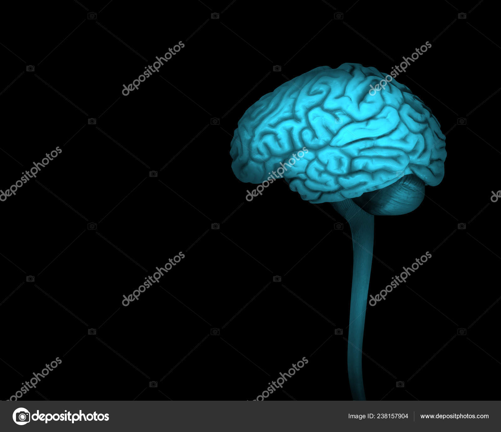 Human Brain Background Illustration Stock Photo by ©patrice67 238157904