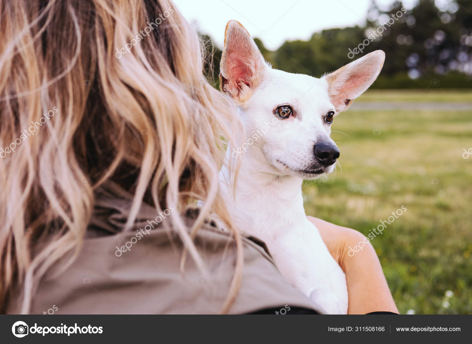 Can Xoloitzcuintli Be White
