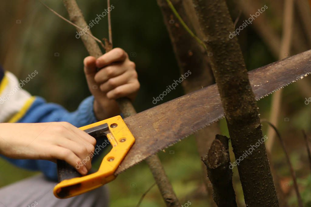 niños manos con sierra sierra árbol rama muerta de cerca foto 2023