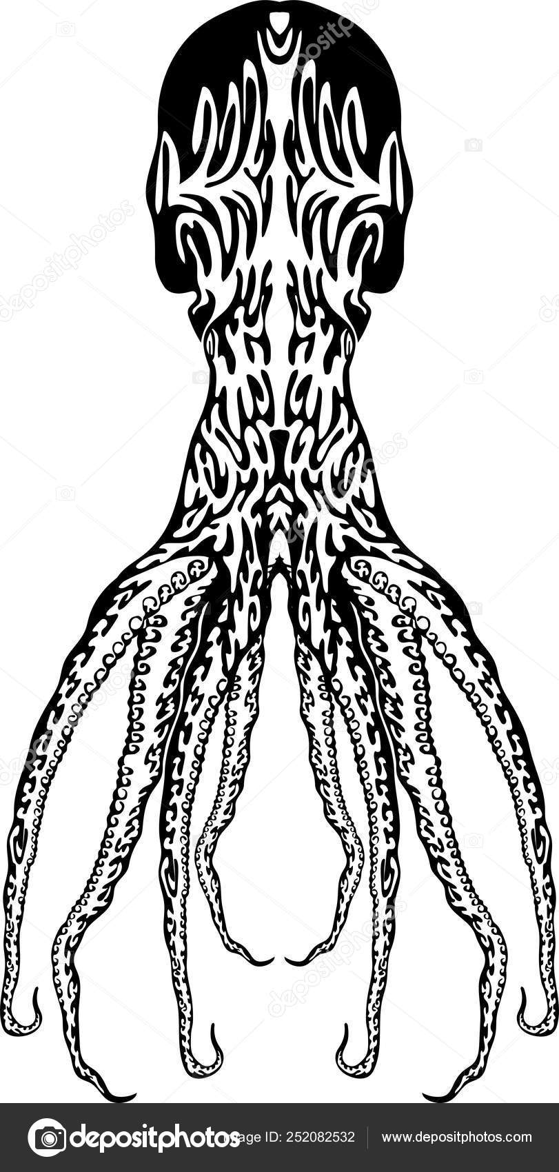 Vector Image Octopus Illustration Isolated White Background Design ...