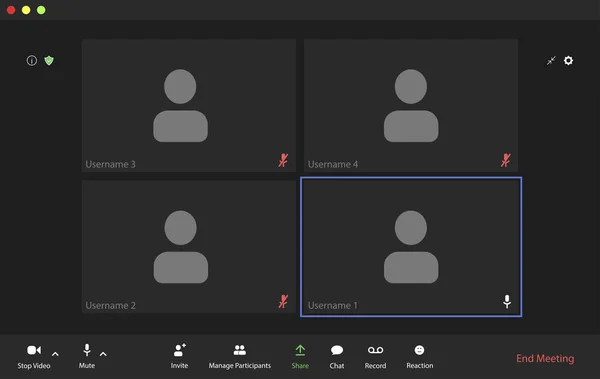 Template video conference user interface, video conference calls window ...