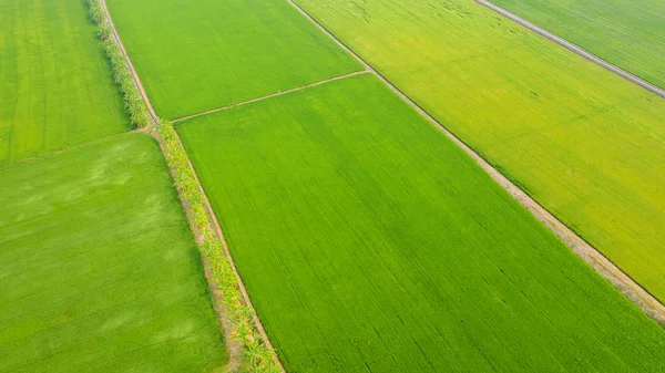 Aerial crops Stock Photos, Royalty Free Aerial crops Images | Depositphotos
