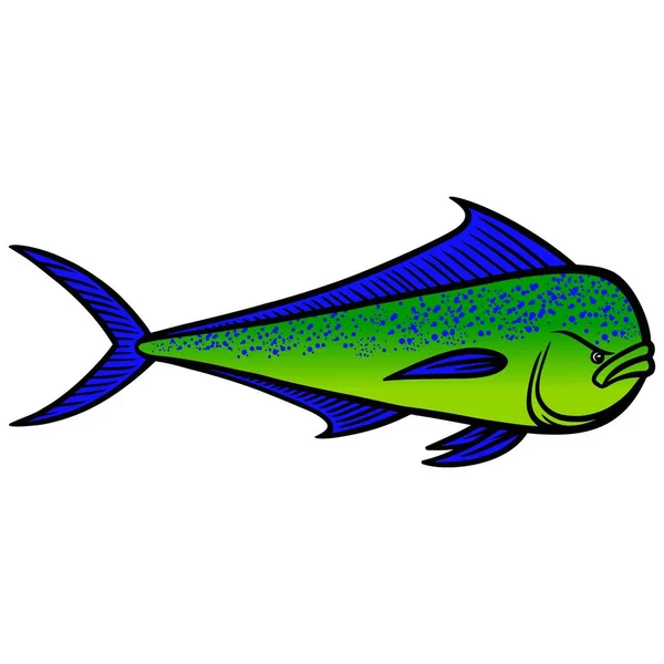 Mahi fish illustration, Royalty-free Mahi fish illustration Vector ...