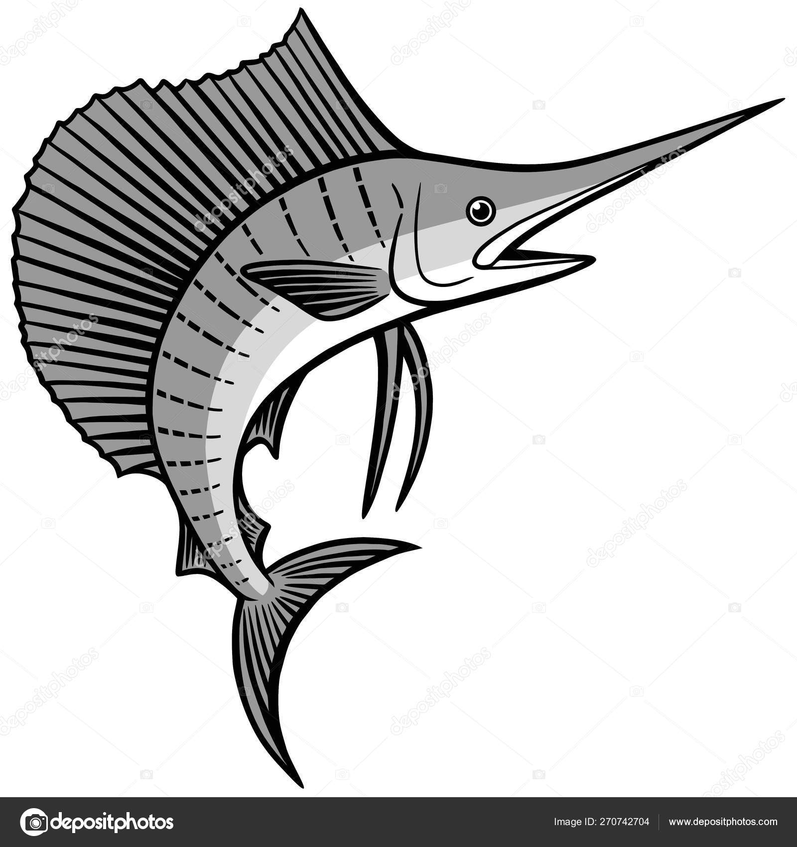 Sailfish