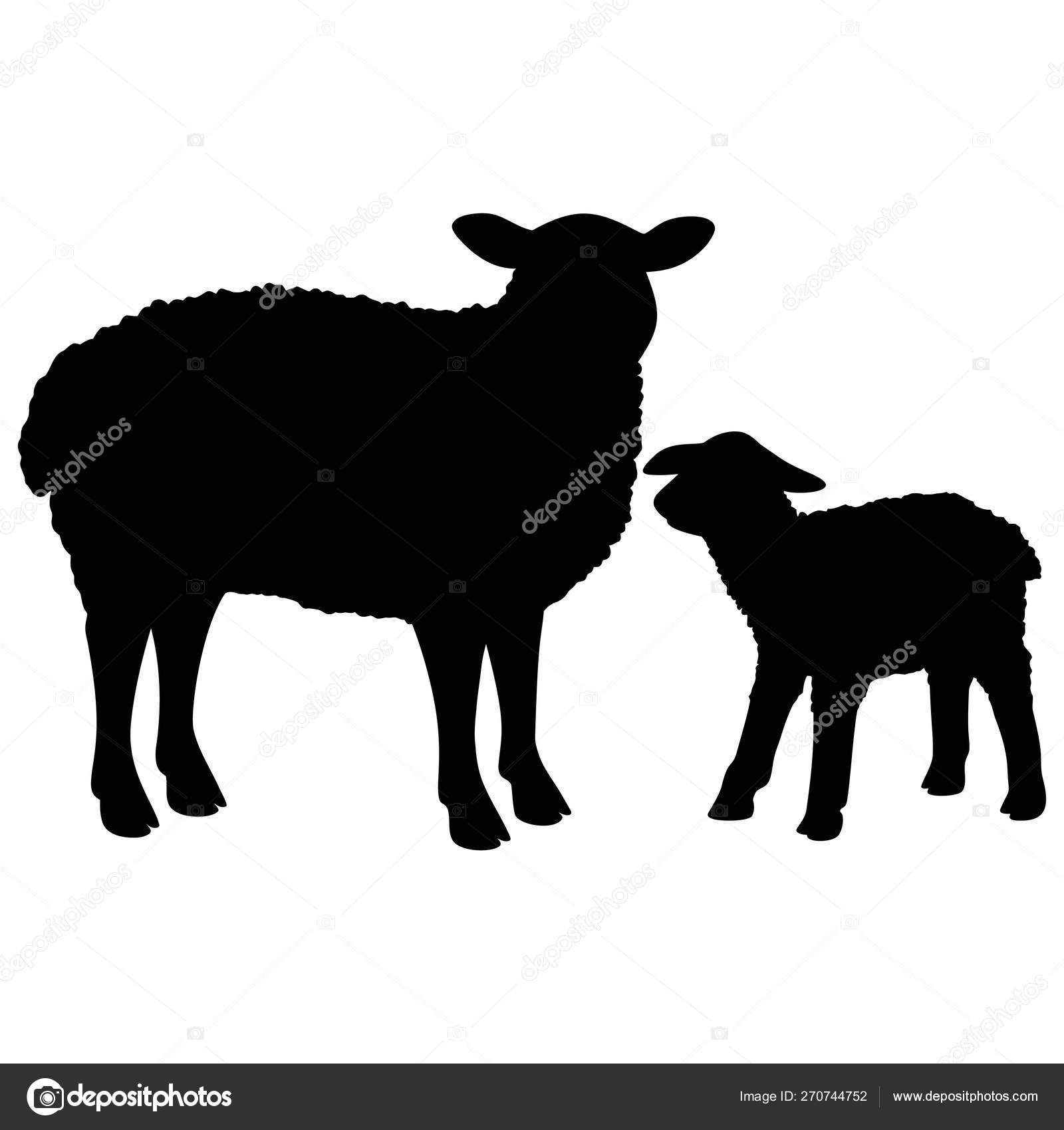 Sheep Silhouette Cartoon Illustration Sheep Lamb Stock Vector Image by ©larryrains #270744752