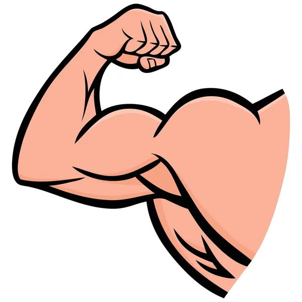 Muscular Arm Cartoon