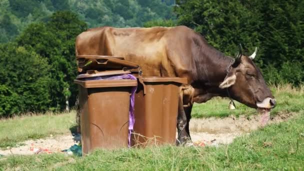 381 Plastic bins Videos, Royalty-free Stock Plastic bins Footage ...