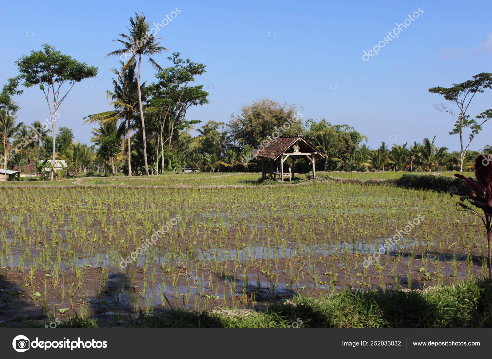 Rural Atmosphere Ranu Pane Lumajang East Java Indonesia — Stock Photo ...