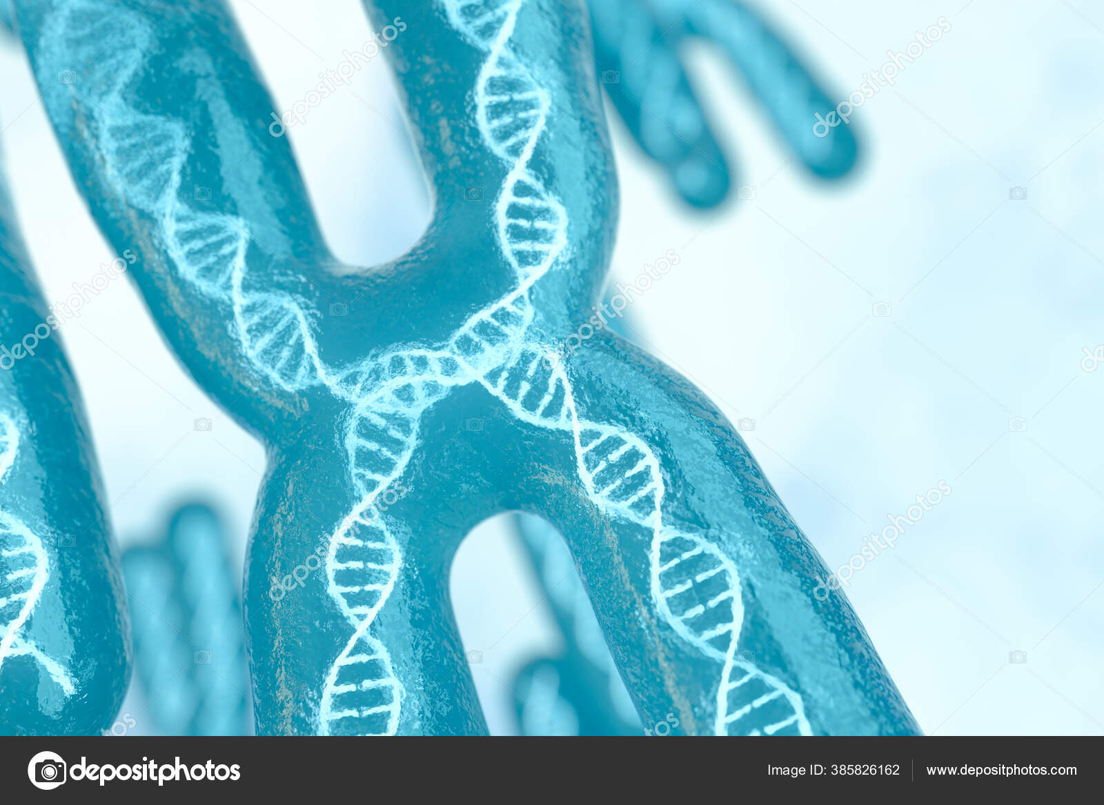 Chromosome Background