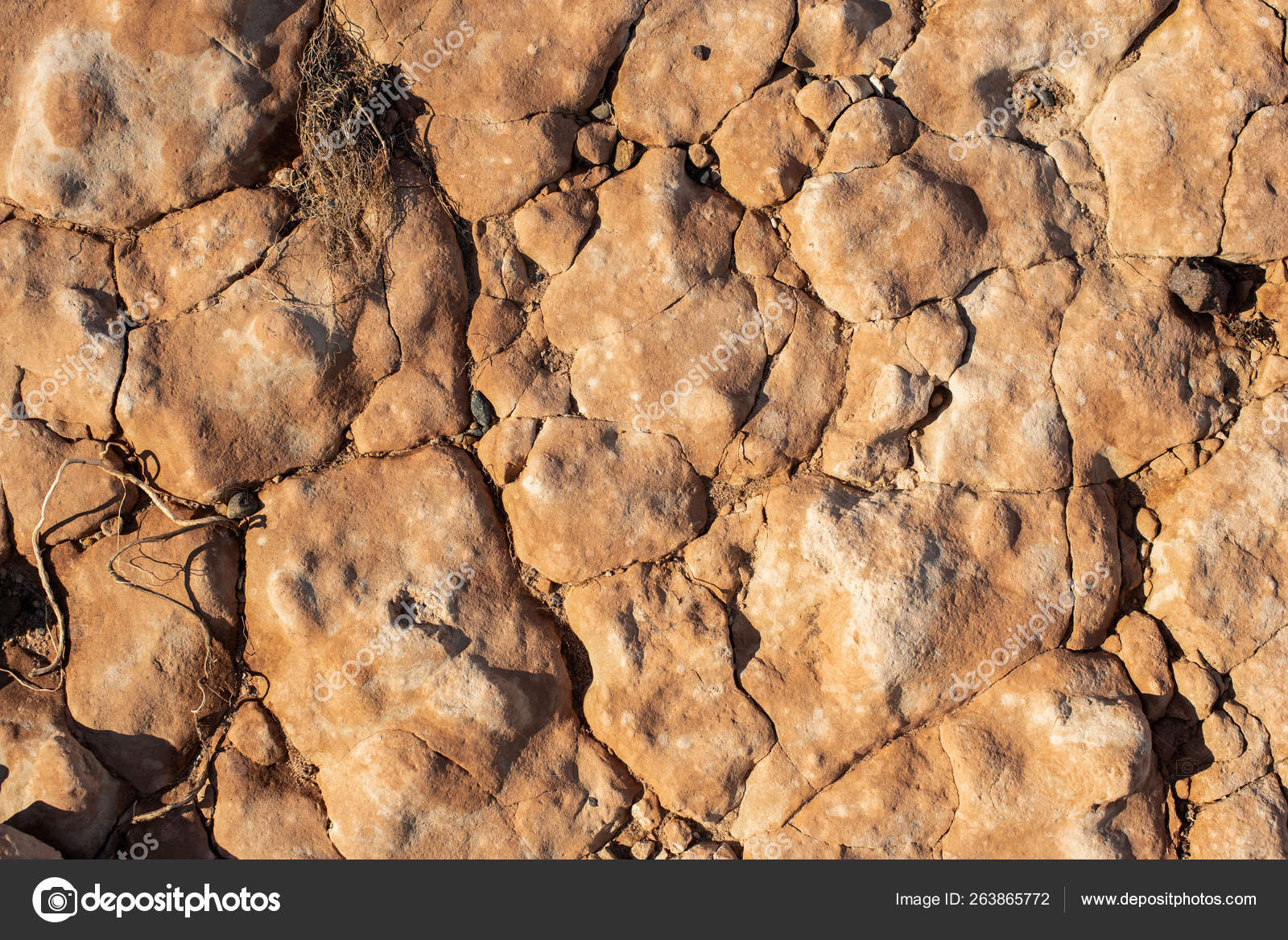 Cracked petrified clay soil as background — Stock Photo © Stellit ...