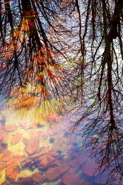 Reflection nature Stock Photos, Royalty Free Reflection nature Images ...