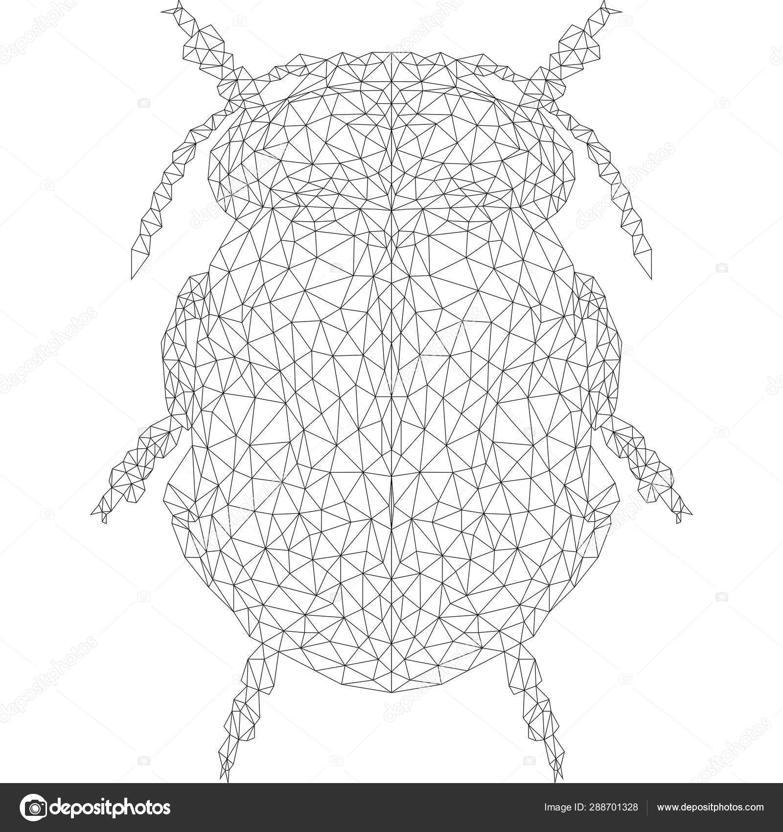 Symmetrical Crystal Illustration Beetle Geometry Triangle Style Bug ...