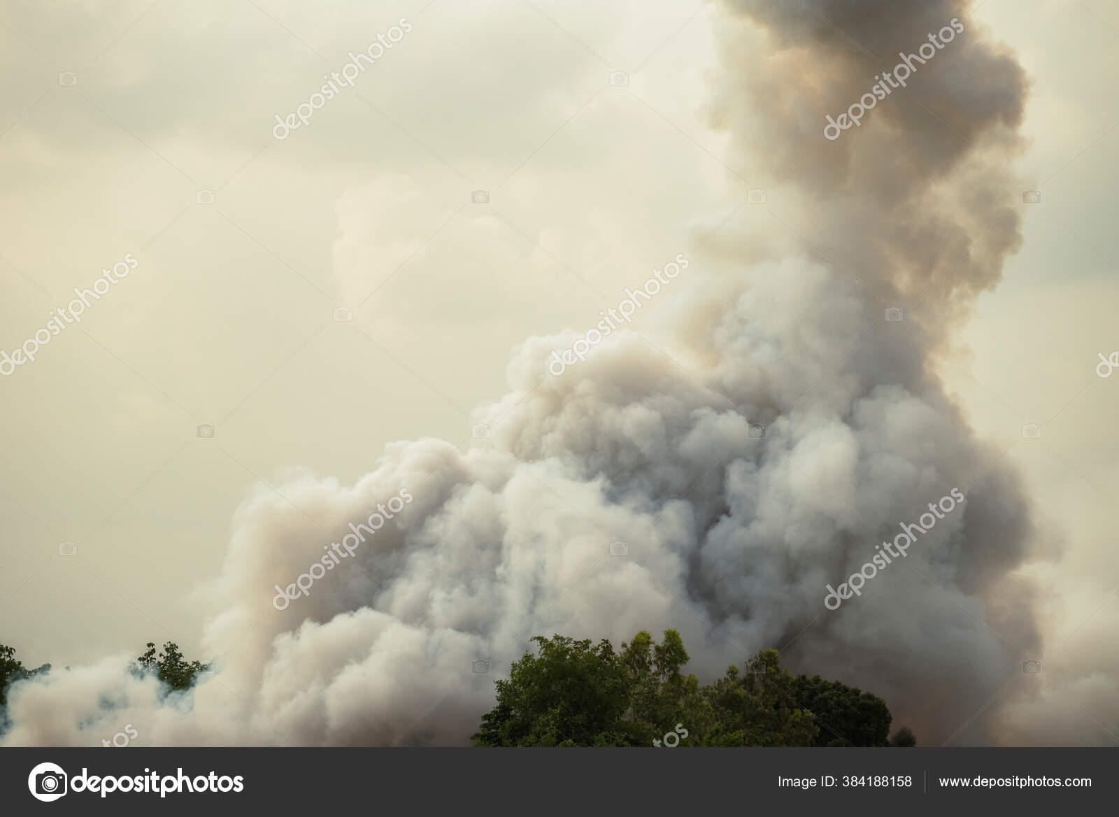 Dense White Smoke Rising Raging Wildfire Smoke Background Close ...