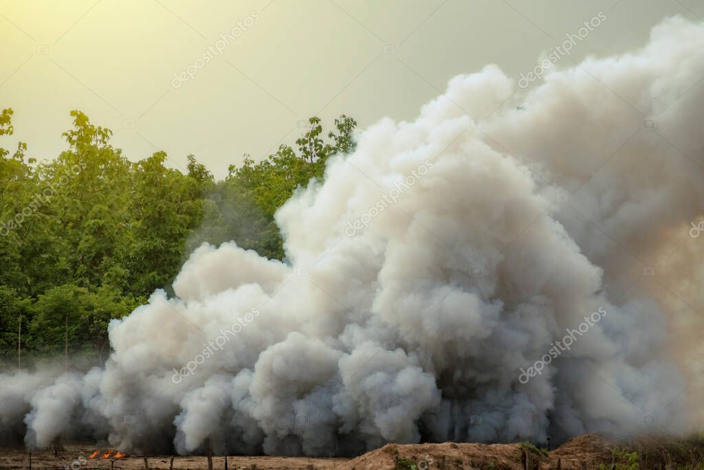 Humo blanco denso que se eleva del fuego salvaje furioso, fondo de humo ...