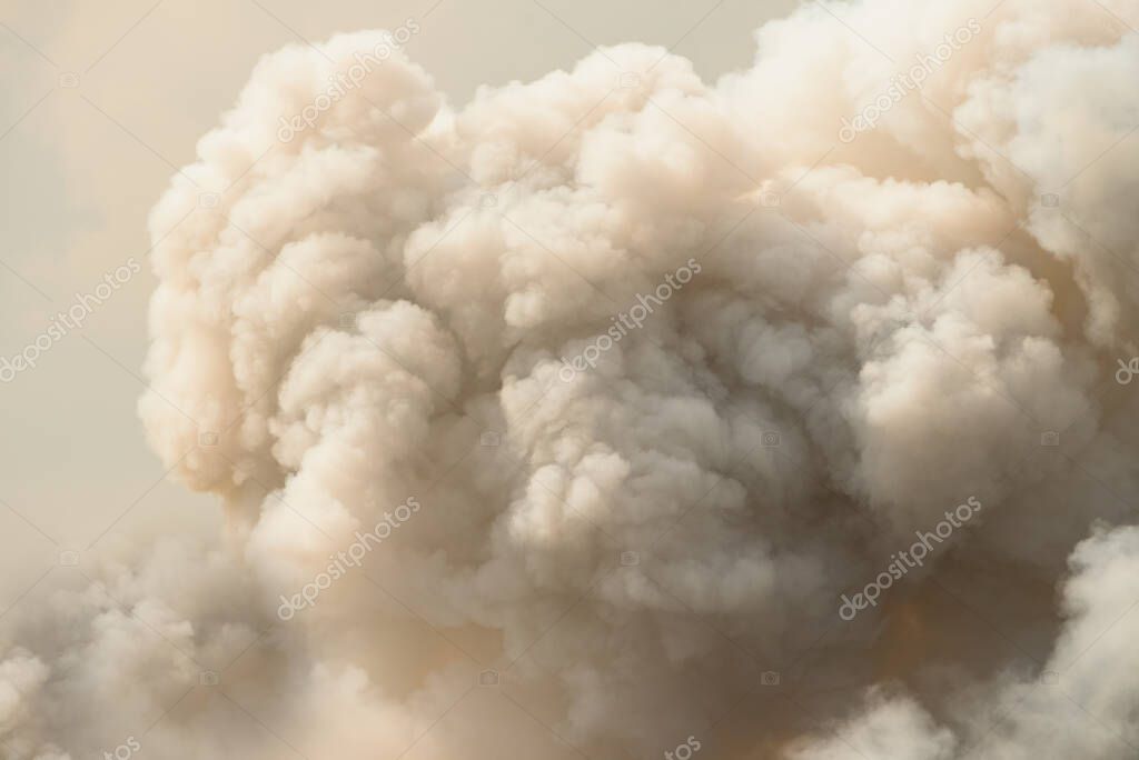 Humo blanco denso que sube del fuego salvaje furioso, cerca encima del ...
