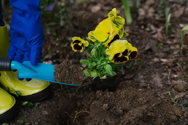 the process of planting a flower. gardener grows flowers. garden set ...
