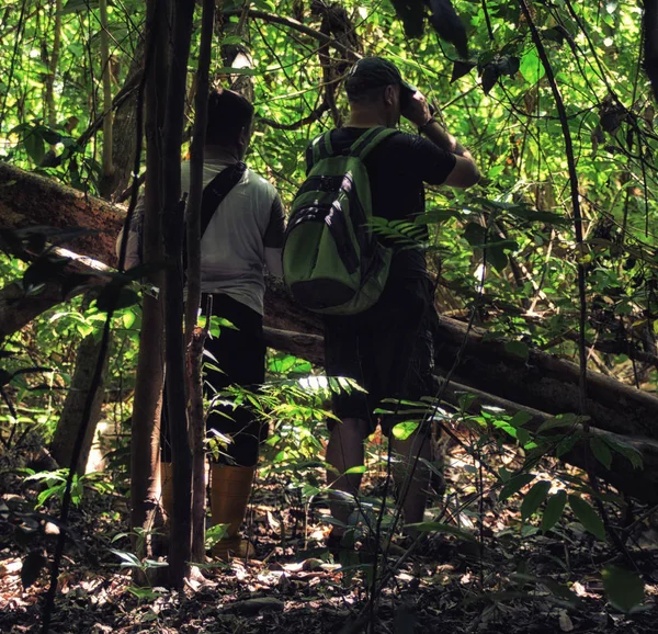 Rainforest expedition Stock Photos, Royalty Free Rainforest expedition ...