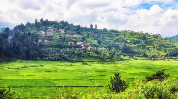 Rwanda landscape Stock Photos, Royalty Free Rwanda landscape Images ...