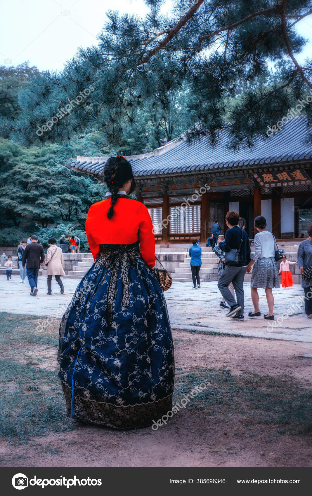 Asian Korean Woman Dressed Hanbok Traditional Dress Walking Nami Island