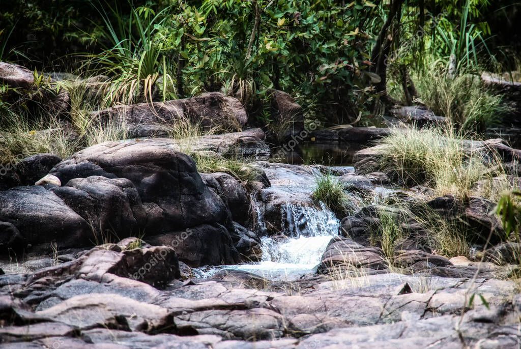 Agua cristalina en un arroyo en el popular Maguk (Barramundi Gorge ...