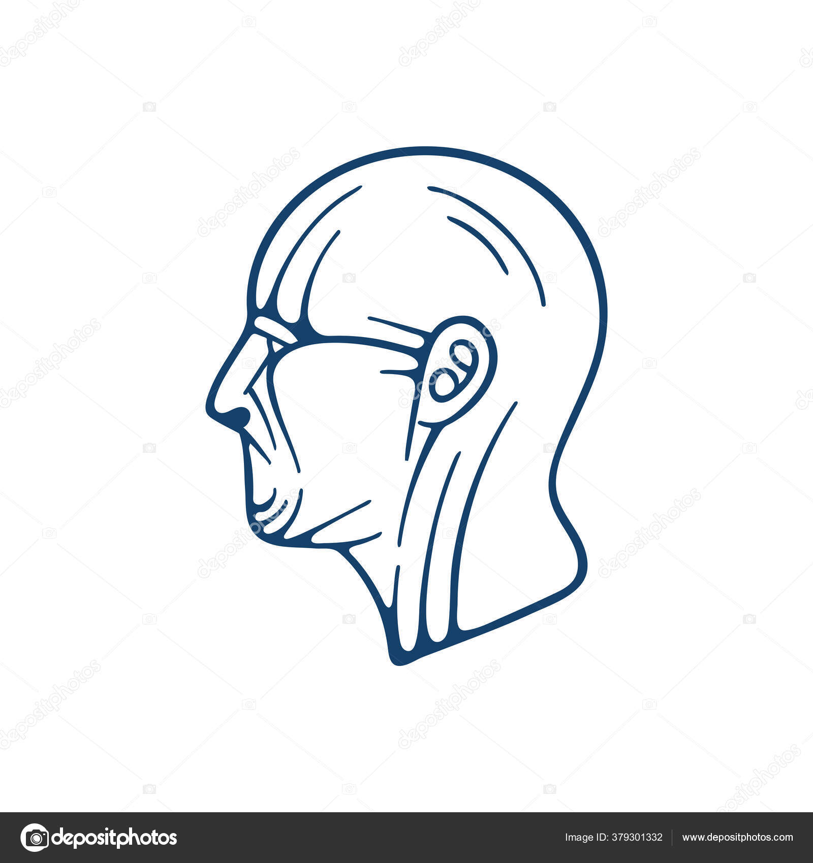 Human Head Profile Drawing