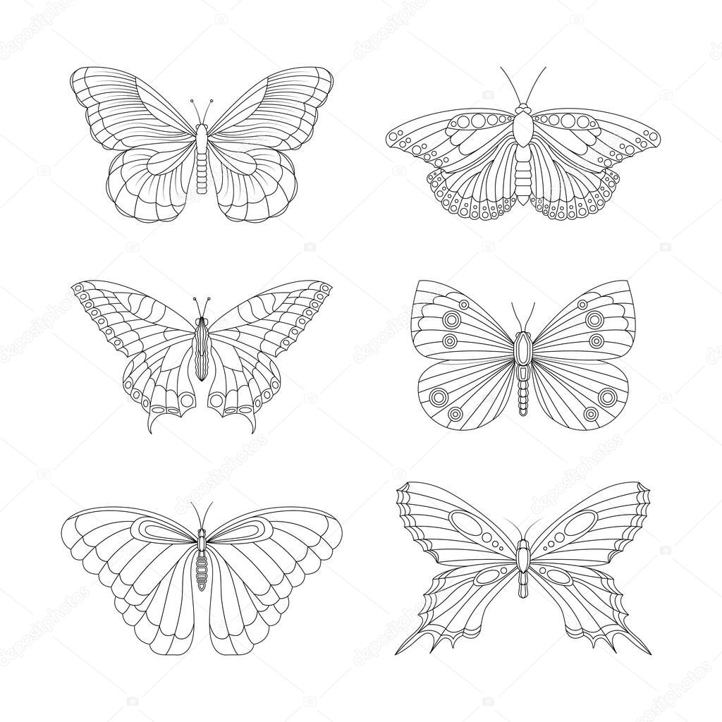 Mariposa. Conjunto de ilustraci n vectorial de contorno de mariposa. 2024