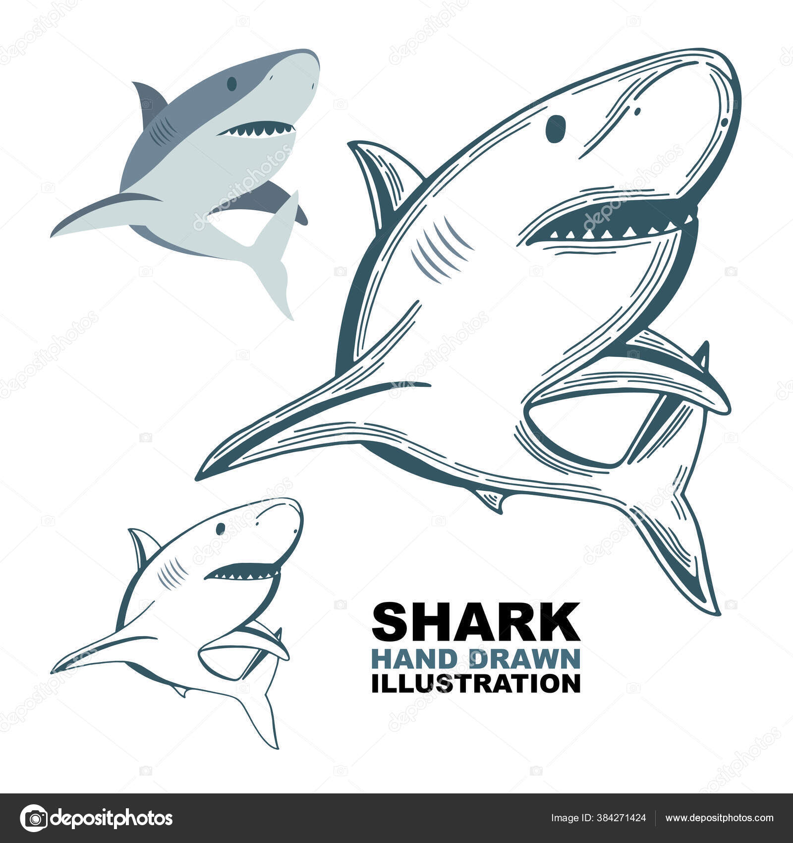 Tubarão Conjunto Ilustrações Vetoriais Desenhadas Mão Tubarão Desenho ...