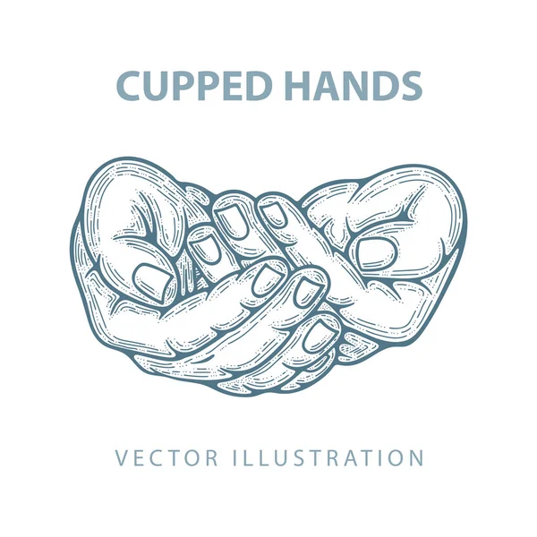Cupping Hands Drawing