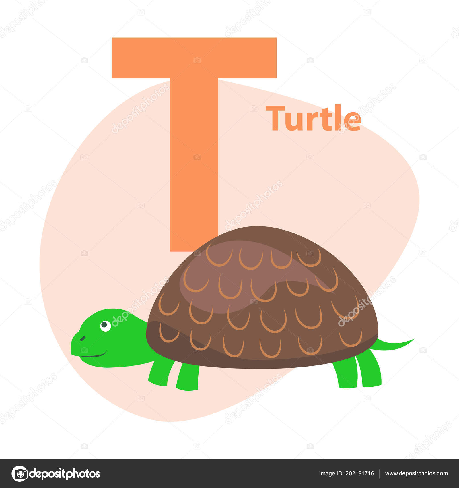 Zoo ABC Letter with Cute Turtle Cartoon Vector Stock Vector by ©robuart ...