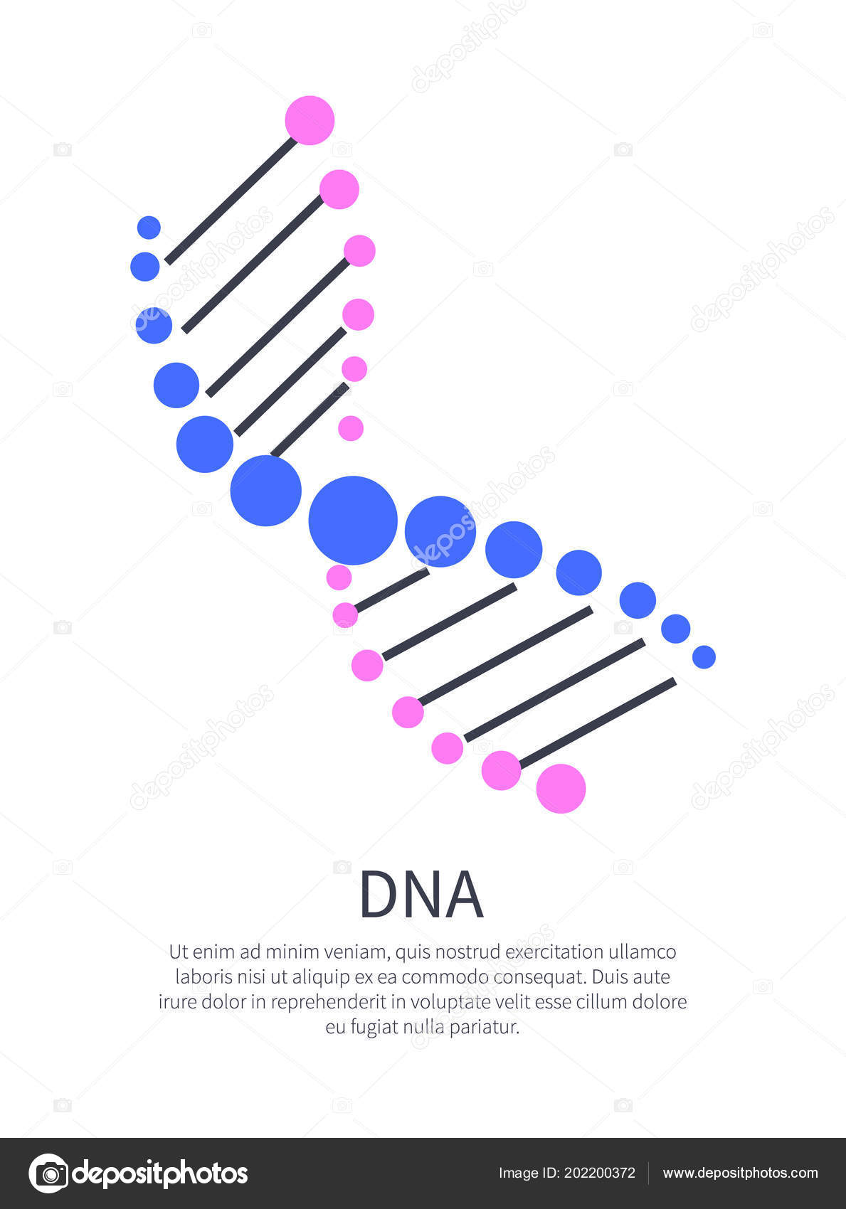 Human DNA Part on Scientific Information Poster Stock Vector Image by ...