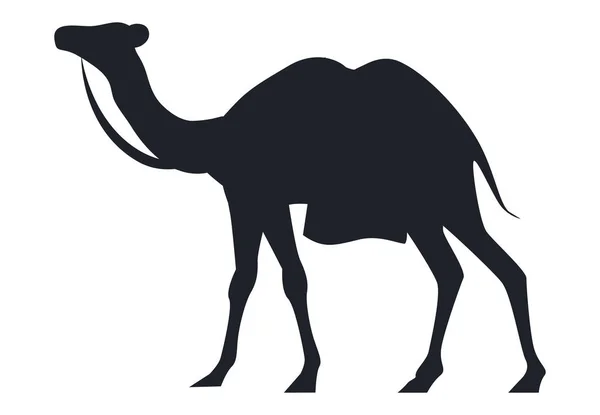 Camel rajasthan Vector Art Stock Images | Depositphotos