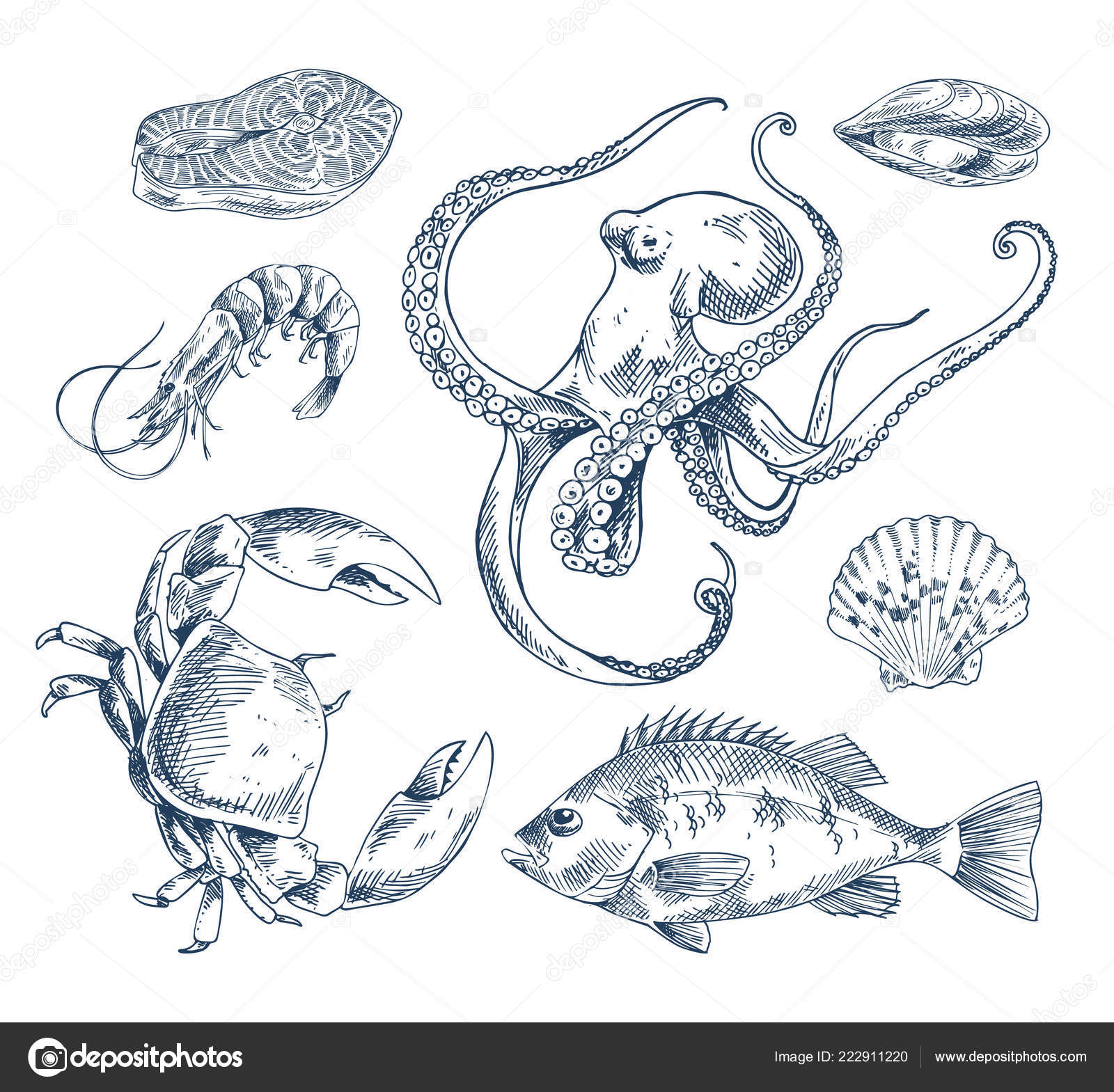 Seafood Sketch Illustration Monochrome Poster Stock Vector Image by ...