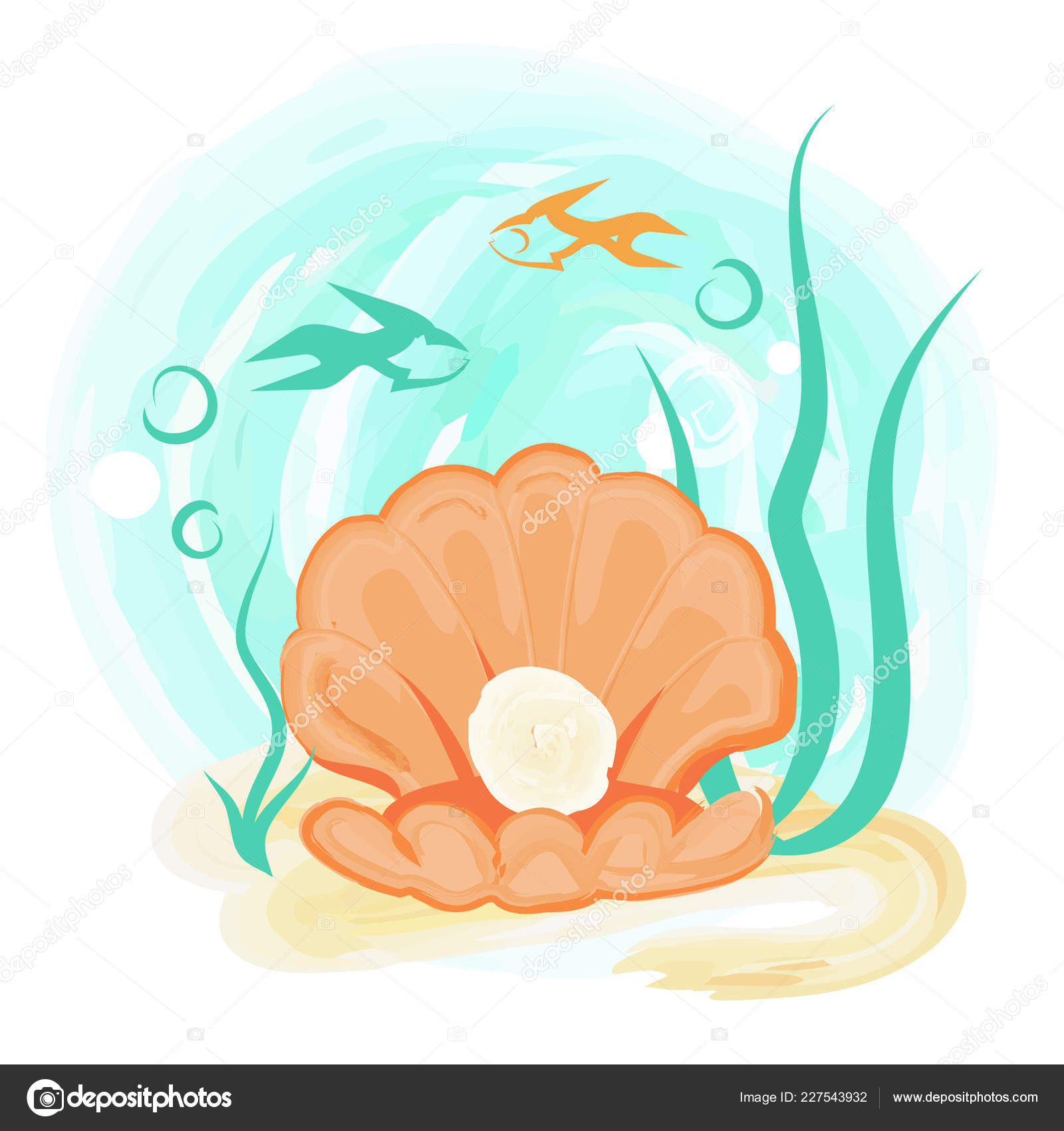 Sea Shell Open Vector