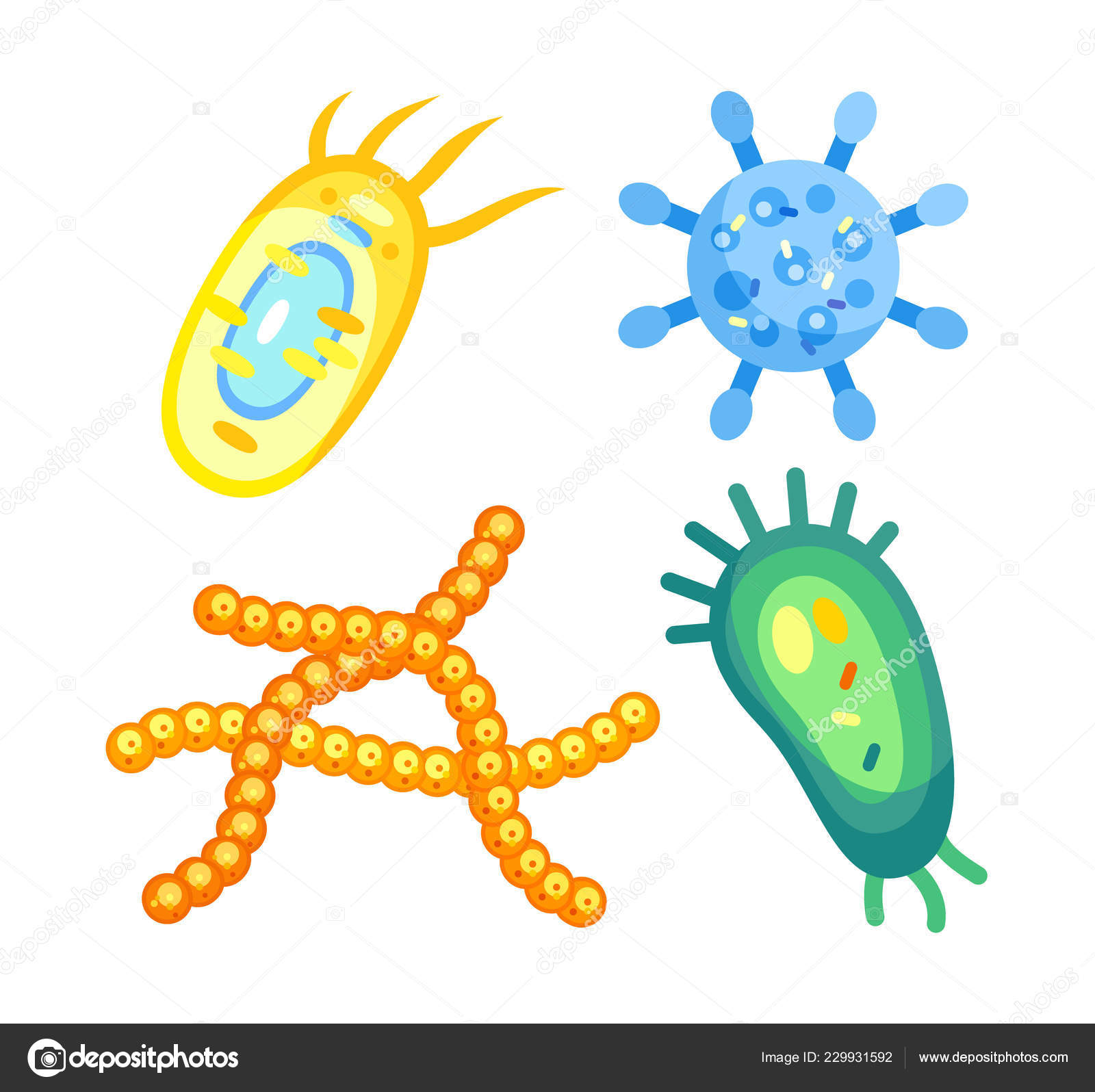 Star Shaped Bacteria