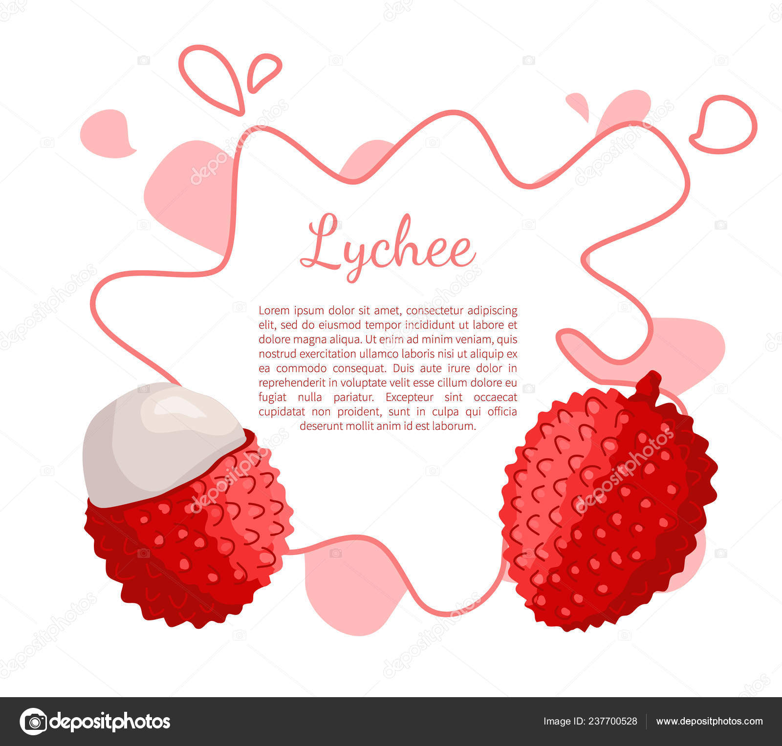 Lychee Exotic Juicy Fruit Vector Poster Frame Stock Vector Image by ...