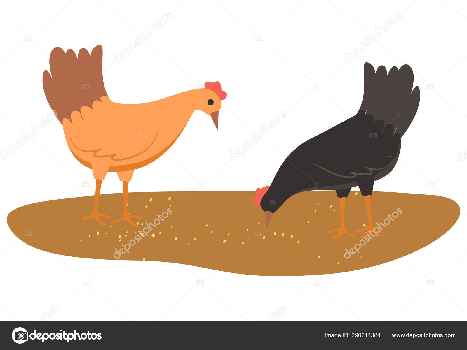 Hens Eating Food From Ground, Chicken with Wheat Stock Vector Image by ...