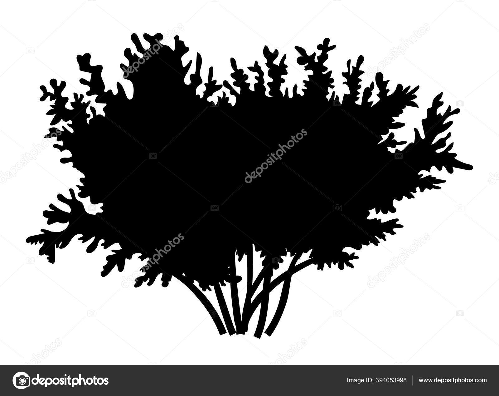 Silhouette bush with leaves isilated on white background. Lush bush ...