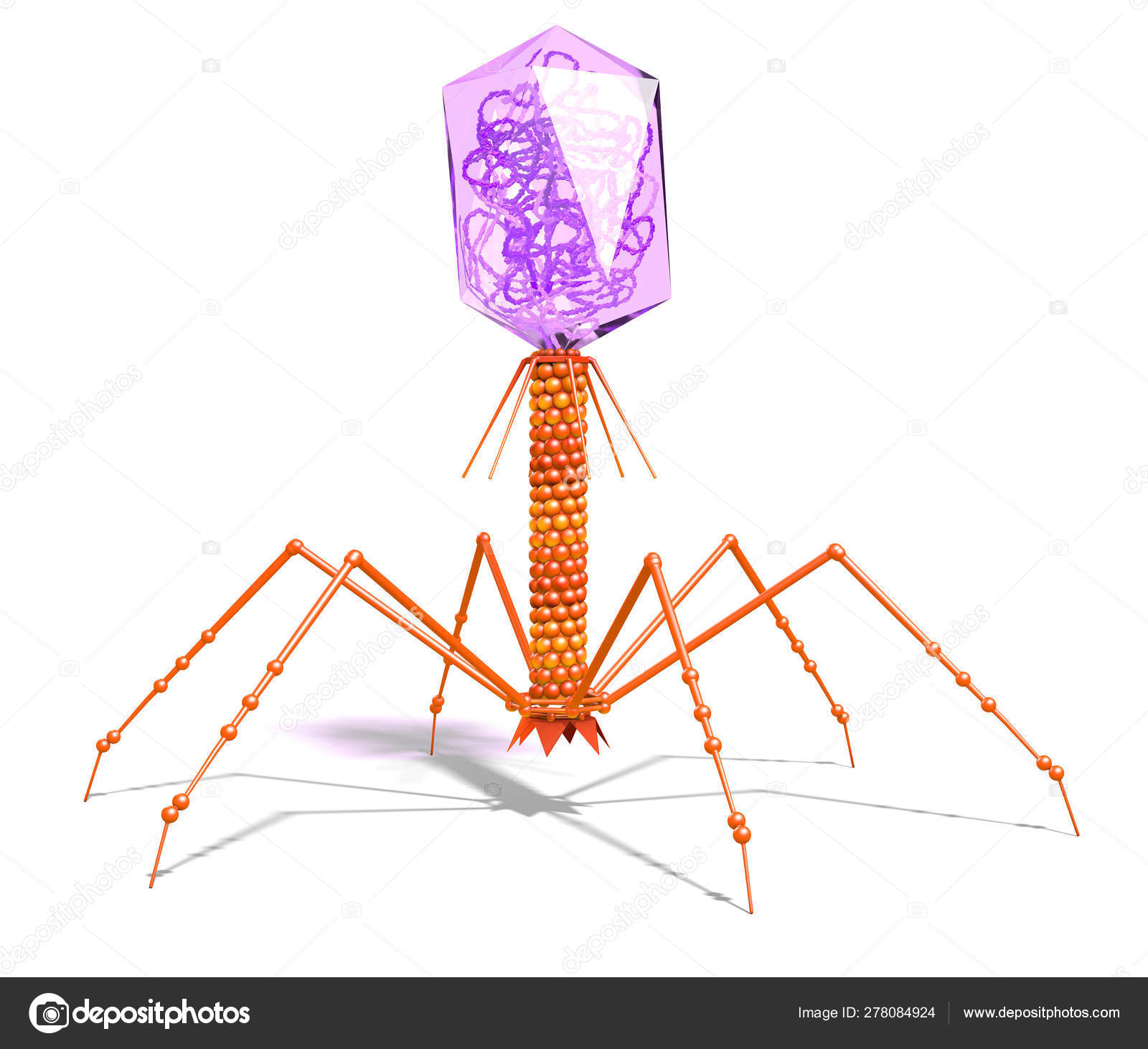 Bacteriophage with DNA. Scientifically accurate 3D illustration — Stock ...
