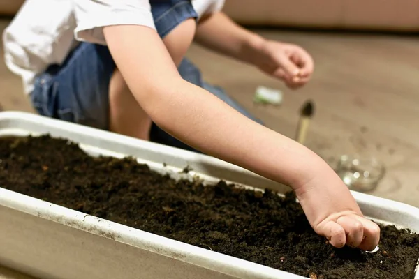 Child planting seed Stock Photos, Royalty Free Child planting seed ...