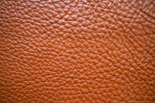 Leather skins Images - Search Images on Everypixel