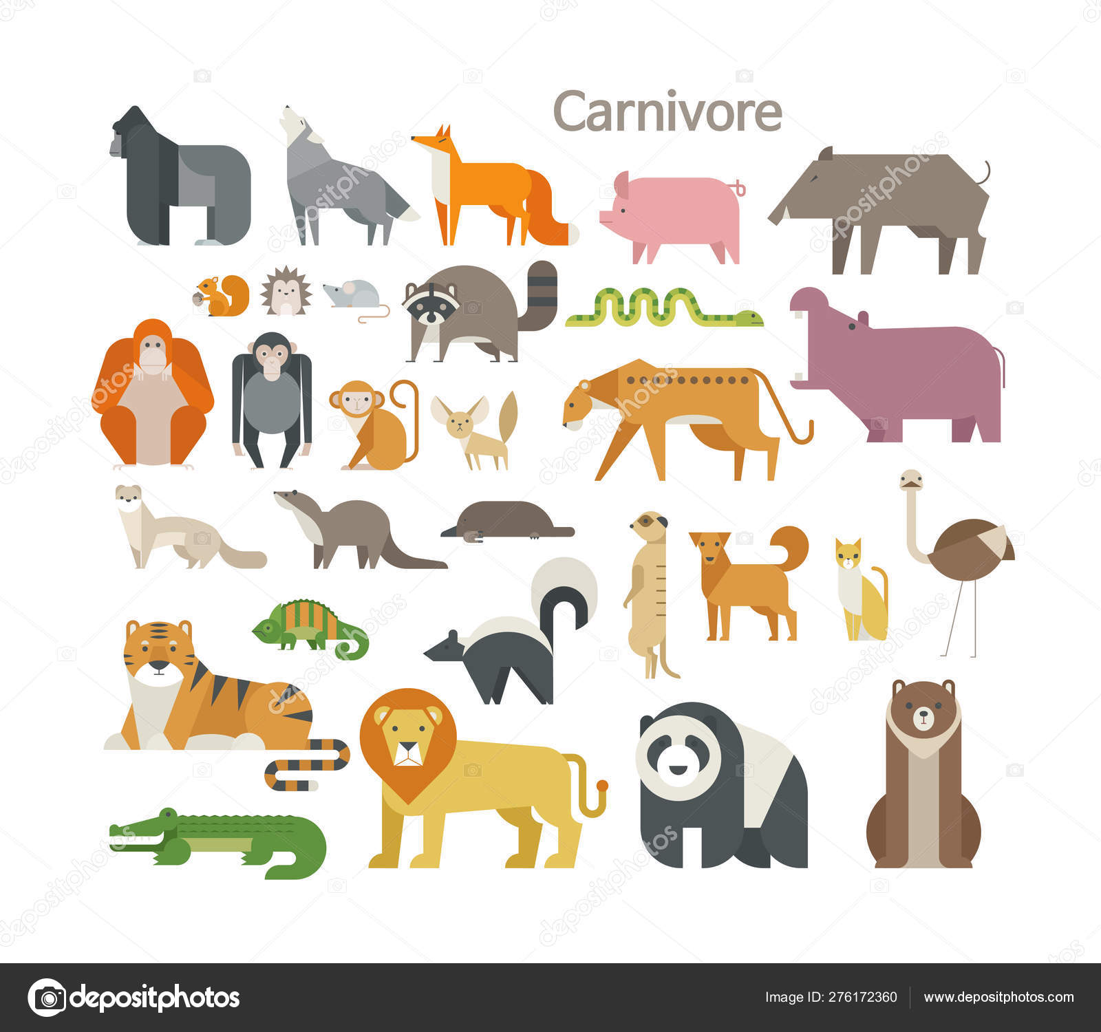 Carnivore Animals Clipart