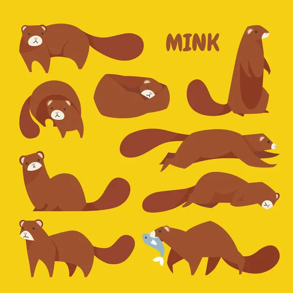 Mink Animal Cute