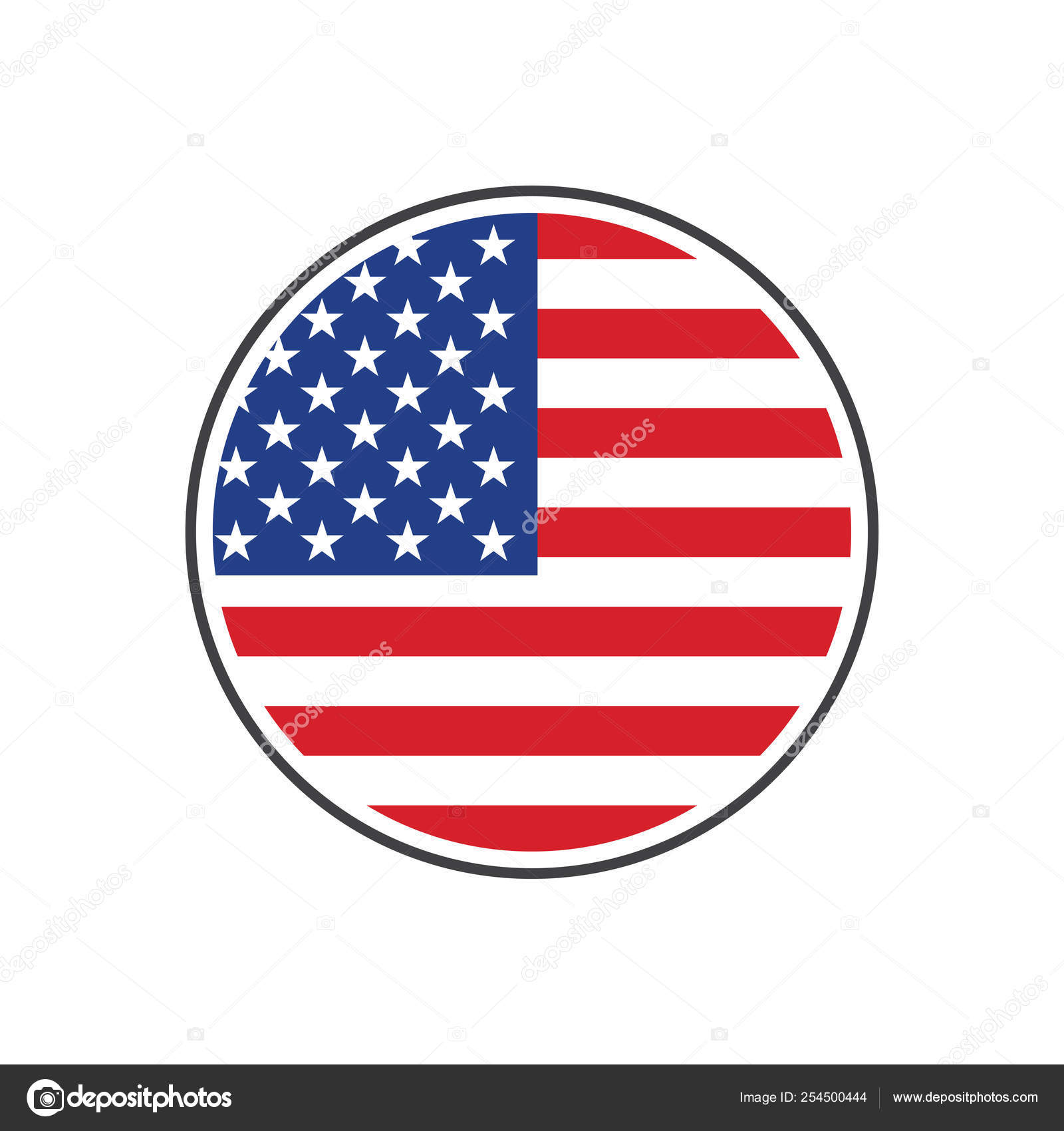Usa Flag Icon Vector