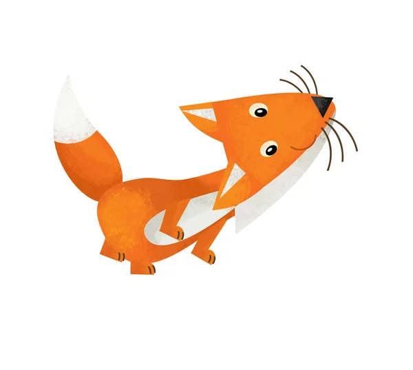 Cartoon Scene Fox Card White Background Name Animal Illustration ...